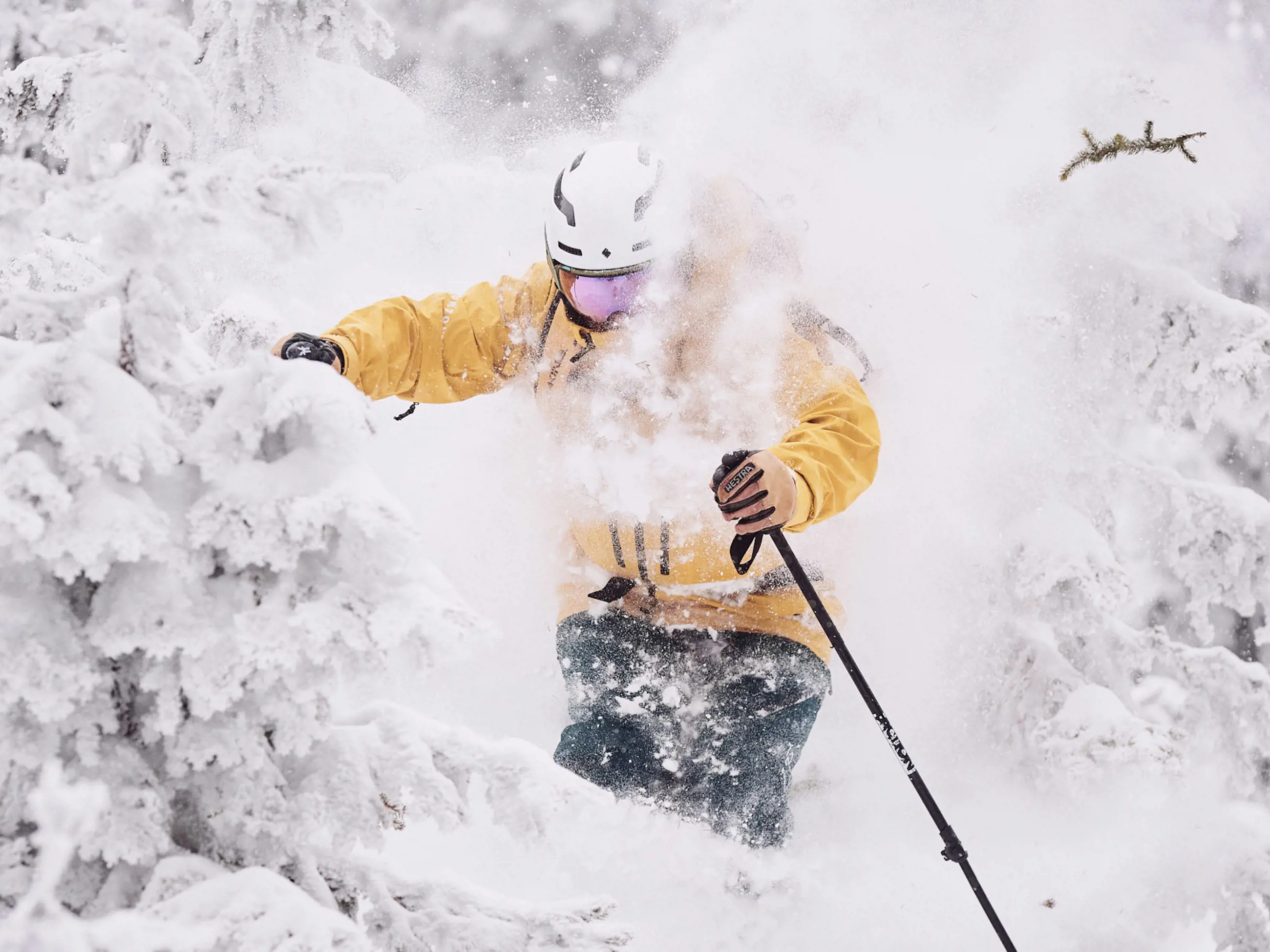Guide: välj rätt alpinskidor för din skidresa | Lion Alpin