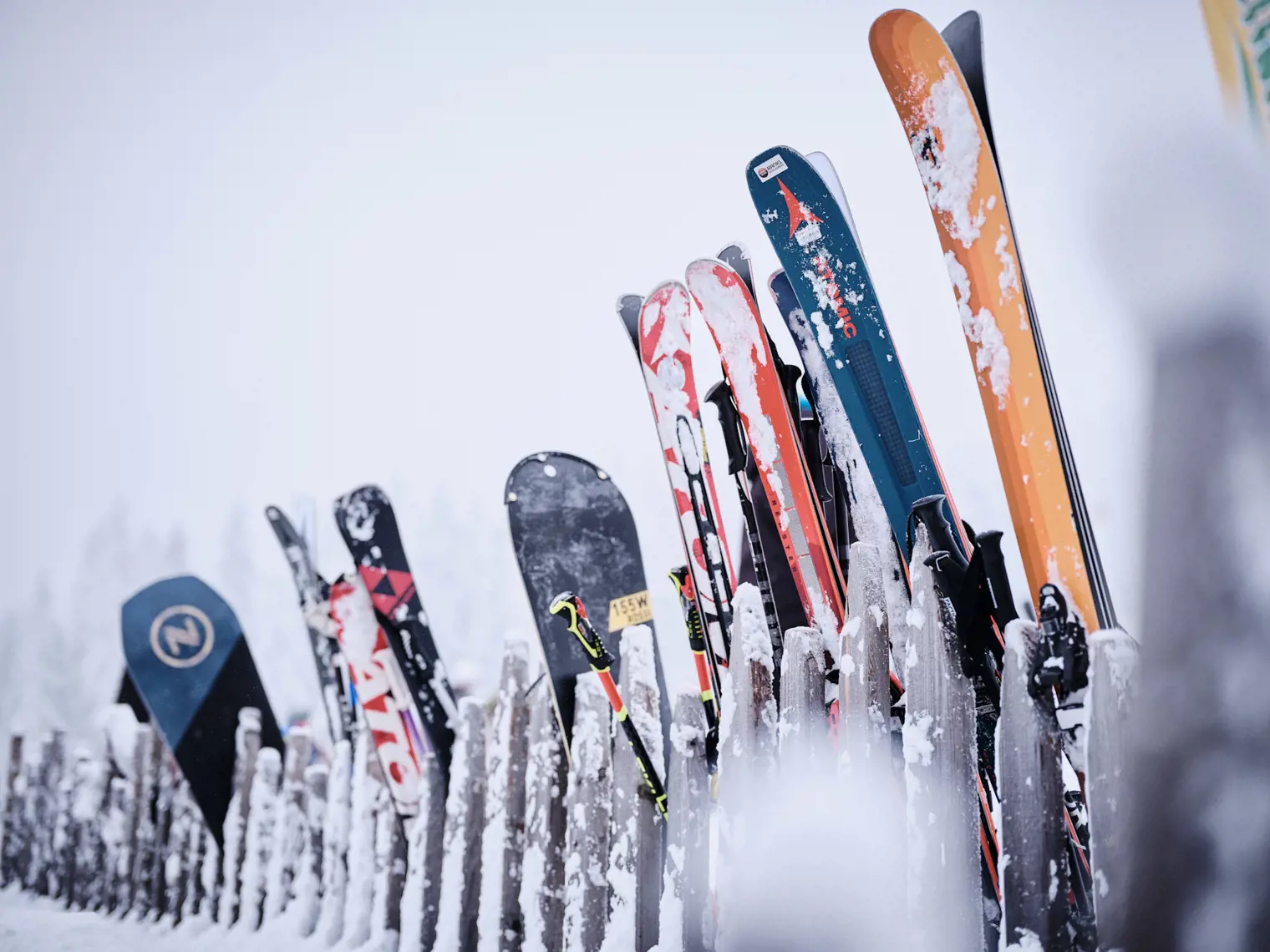Guide: välj rätt alpinskidor för din skidresa | Lion Alpin