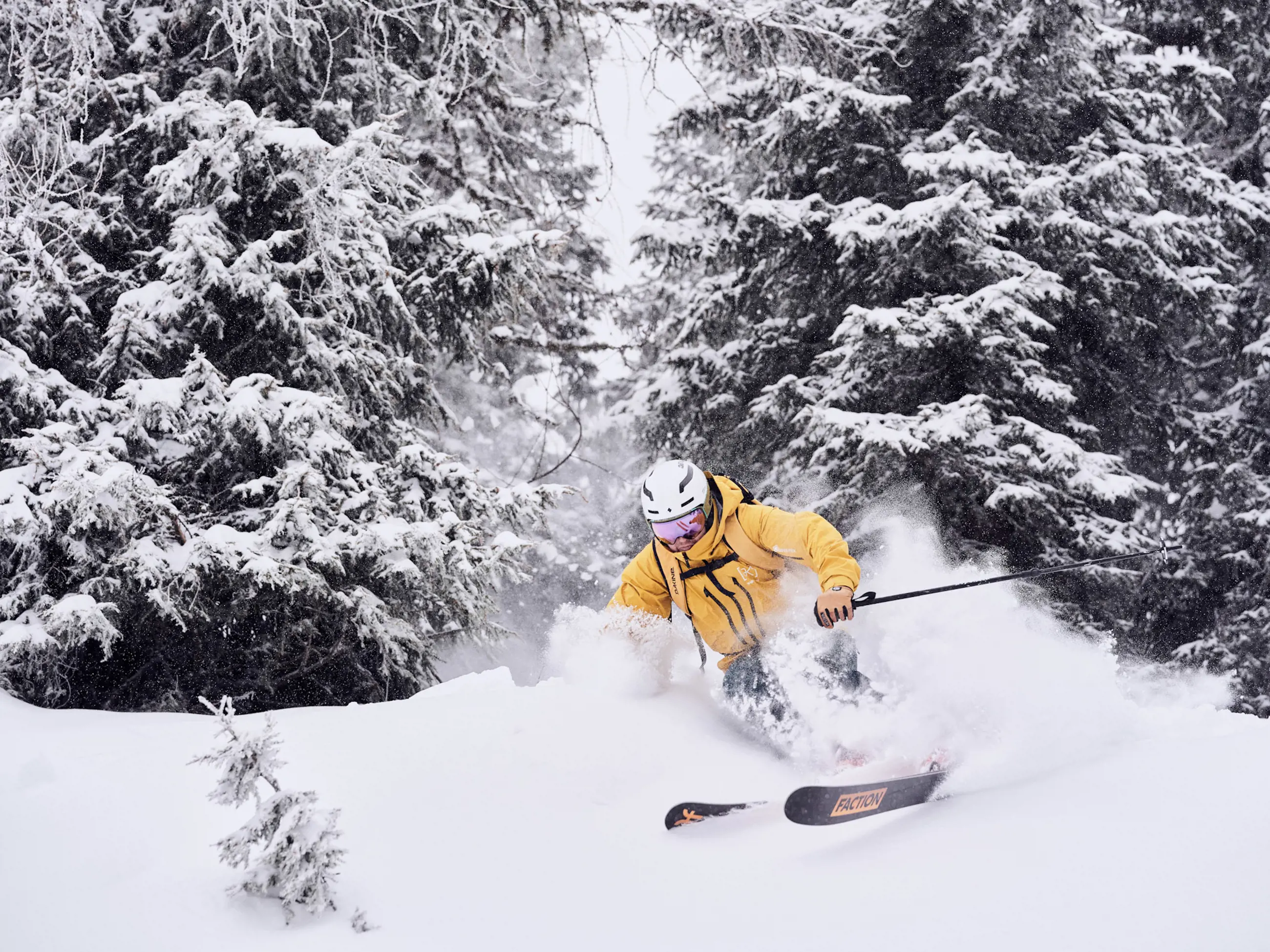 Guide: välj rätt alpinskidor för din skidresa | Lion Alpin