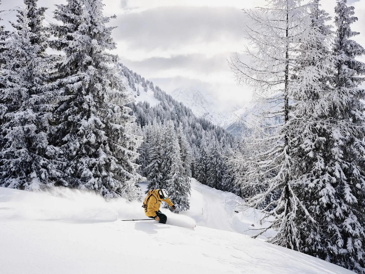 Guide: välj rätt alpinskidor för din skidresa | Lion Alpin